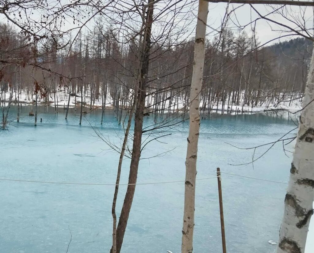 Blue Pond Awakens for Spring :: Biei Tourism Association